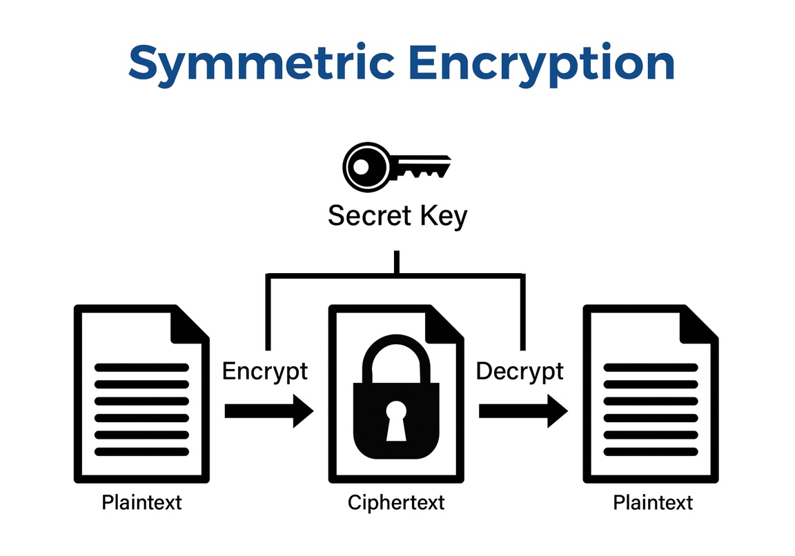 What is TLS? Your Guide to Transport Layer Security