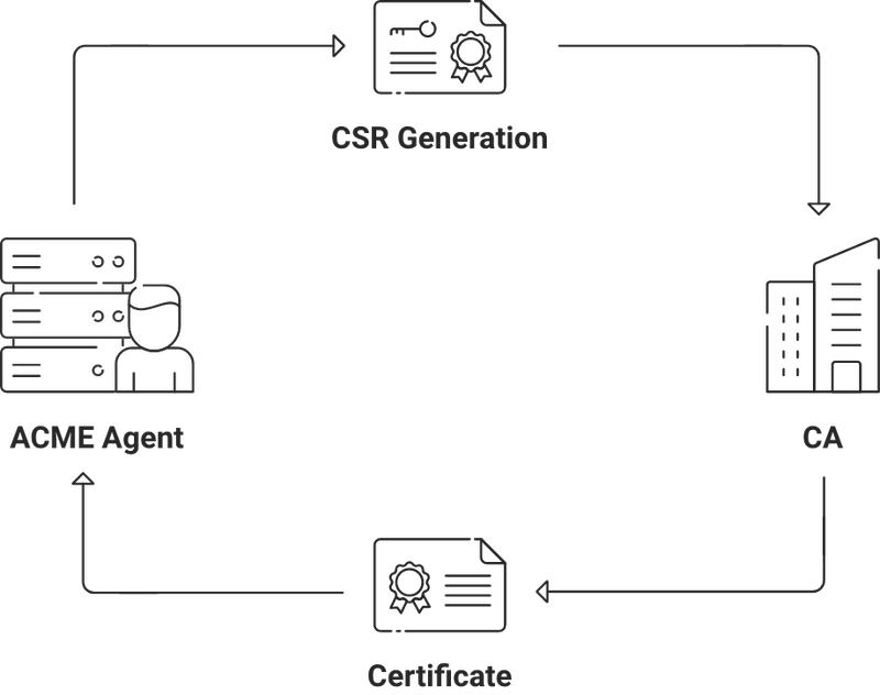 ACME SSL Certificates